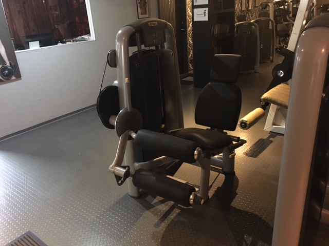 Ischiocrurale Muskulatur