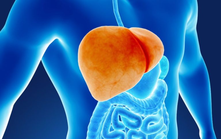 Leberkur: So entgiftest du deine Leber